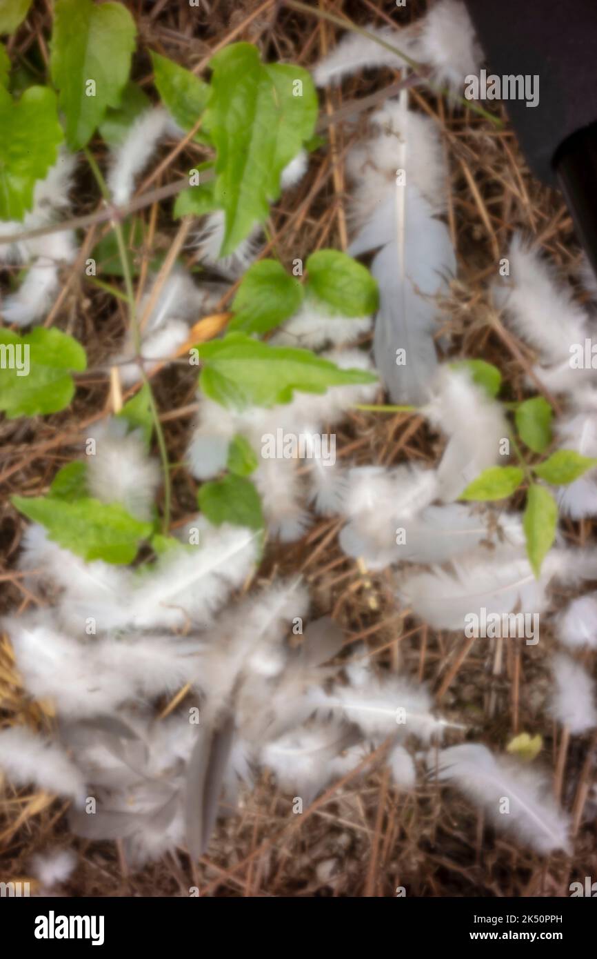 Age-defying, digital age, premium quality, eye-catching, stand-out ...