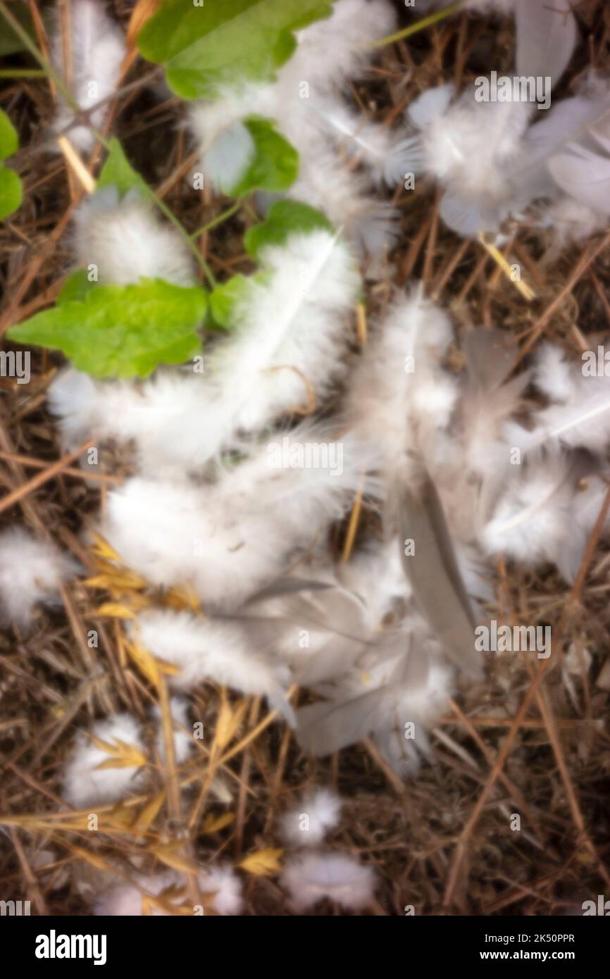 Age-defying, digital age, premium quality, eye-catching, stand-out ...