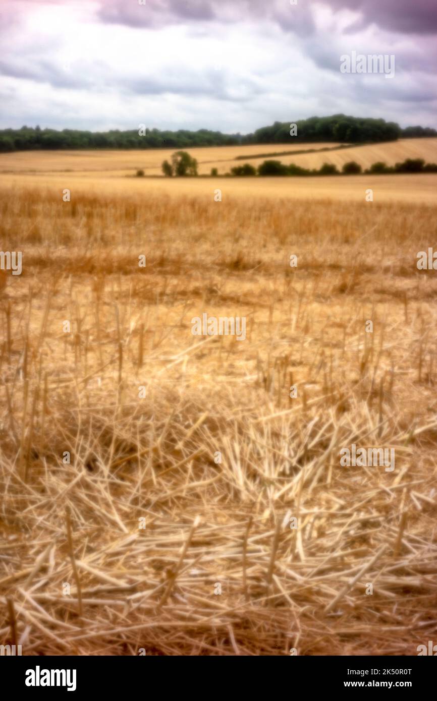 Age-defying, digital age, premium quality, eye-catching, stand-out ...