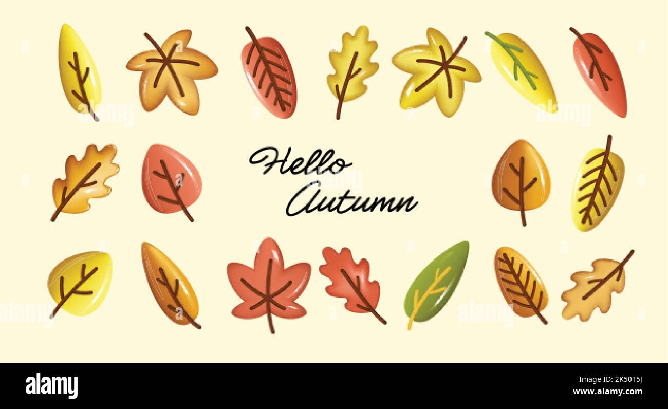 set of autumn leaves. Collection of colorful autumn leaves isolated on ...