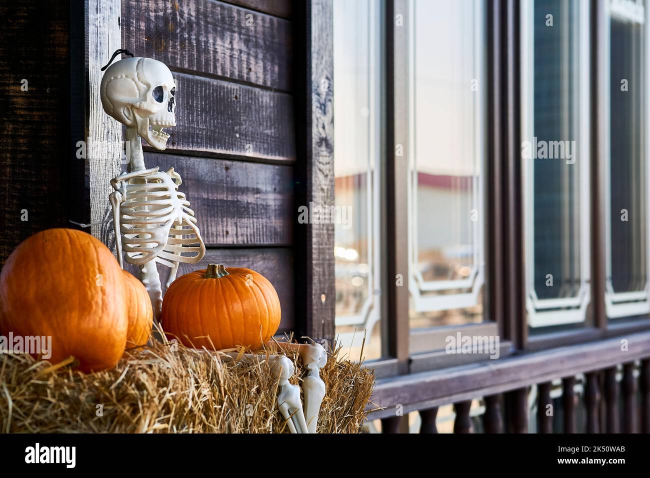 White halloween skeleton on a hay, orange pumpkins and gray windows ...
