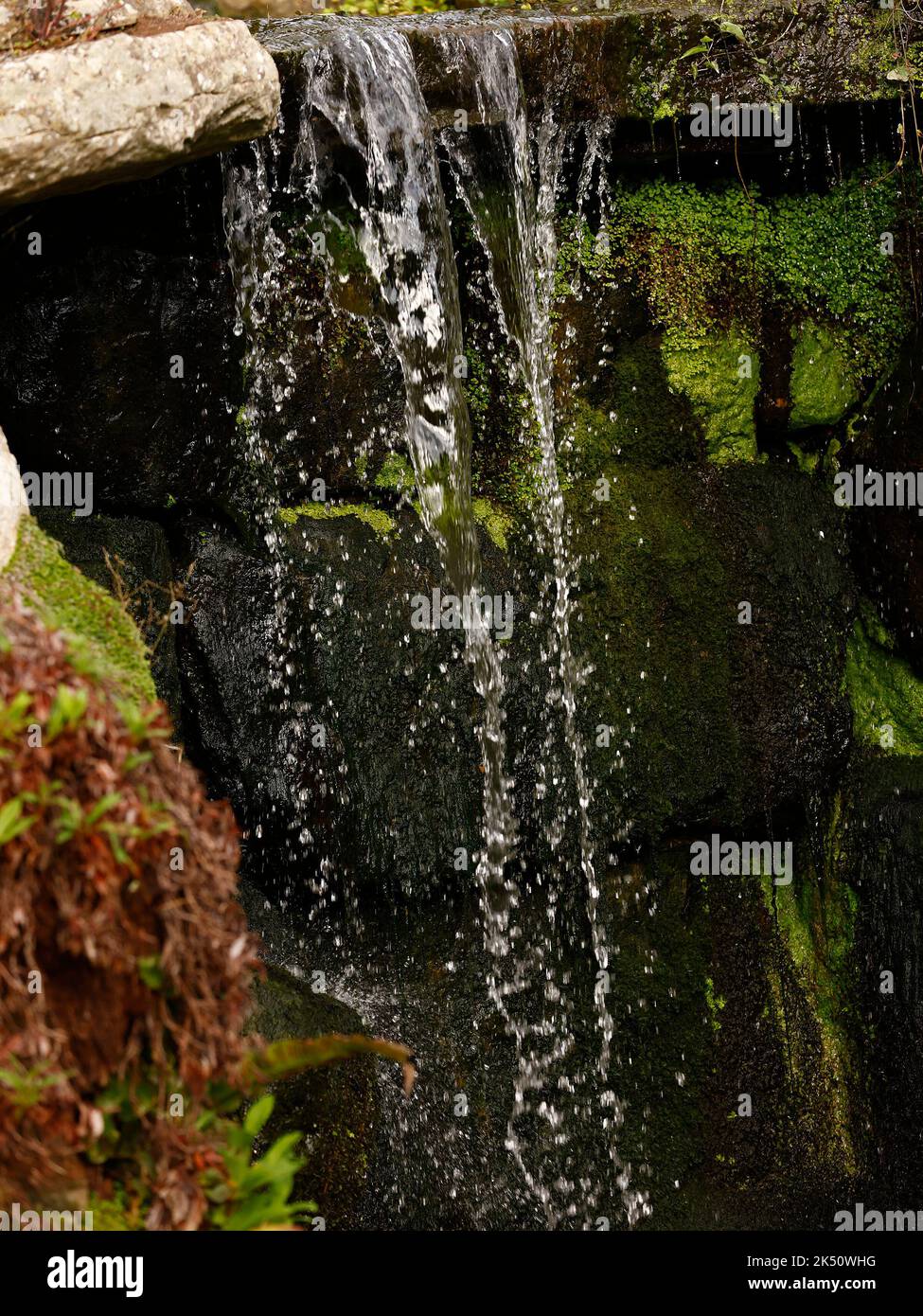 Waterfall feature seen in the garden surrounded with planting Stock ...