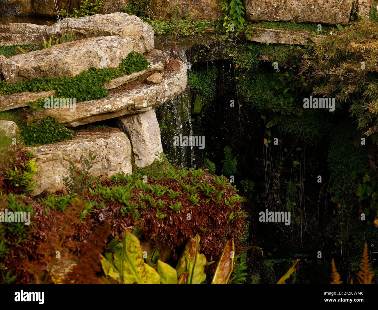 Water dripping from a rock surrounded with plants as a garden feature ...