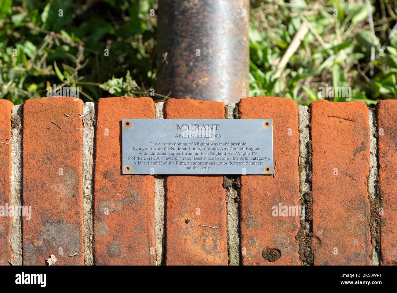 Alison wilding hi-res stock photography and images - Alamy