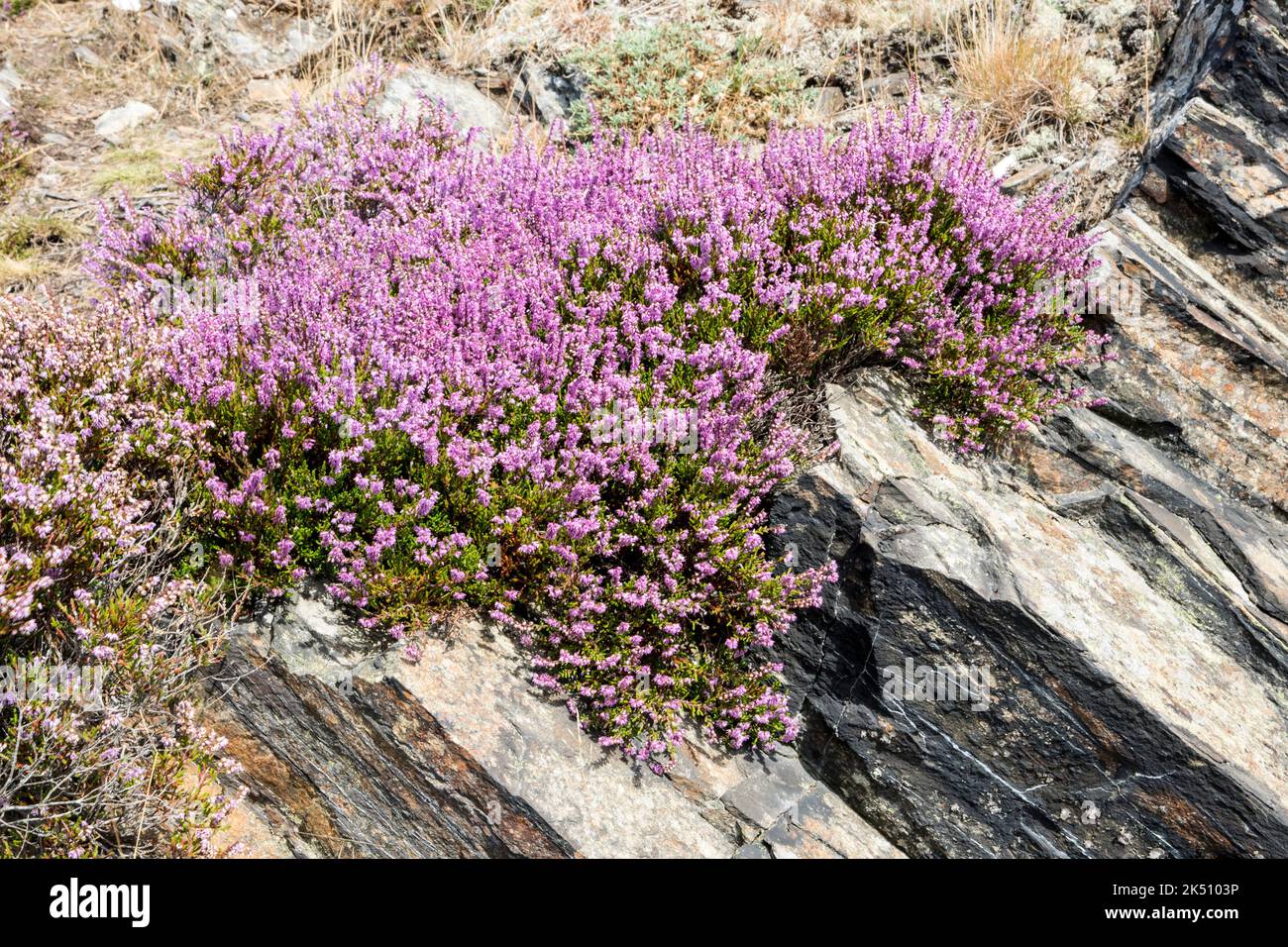 Stone outcrop hi-res stock photography and images - Alamy