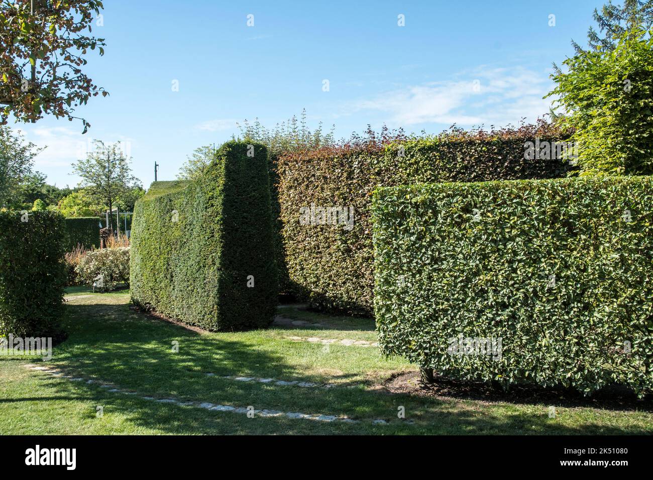 Shrubs and hedges hi-res stock photography and images - Alamy