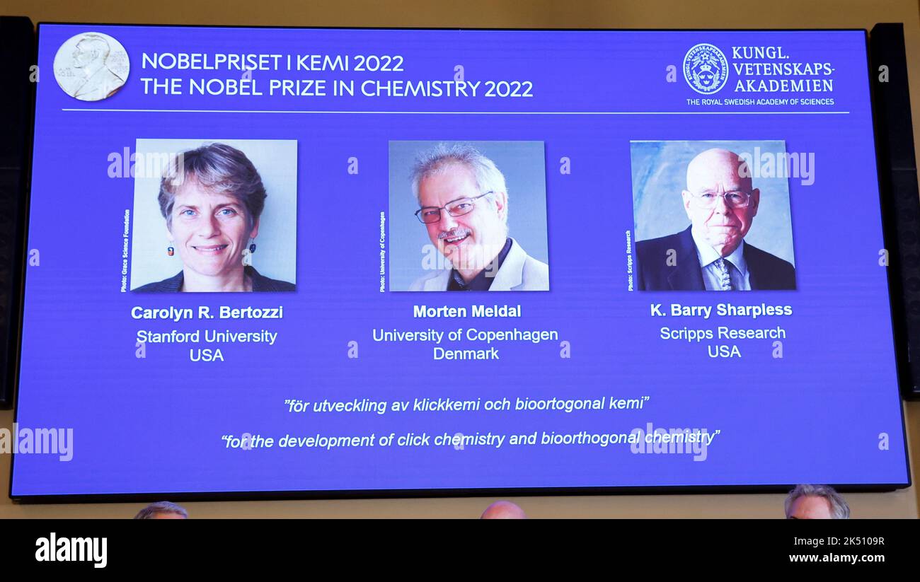 Stockholm, Sverige. 05th Oct, 2022. A press conference at The Royal ...