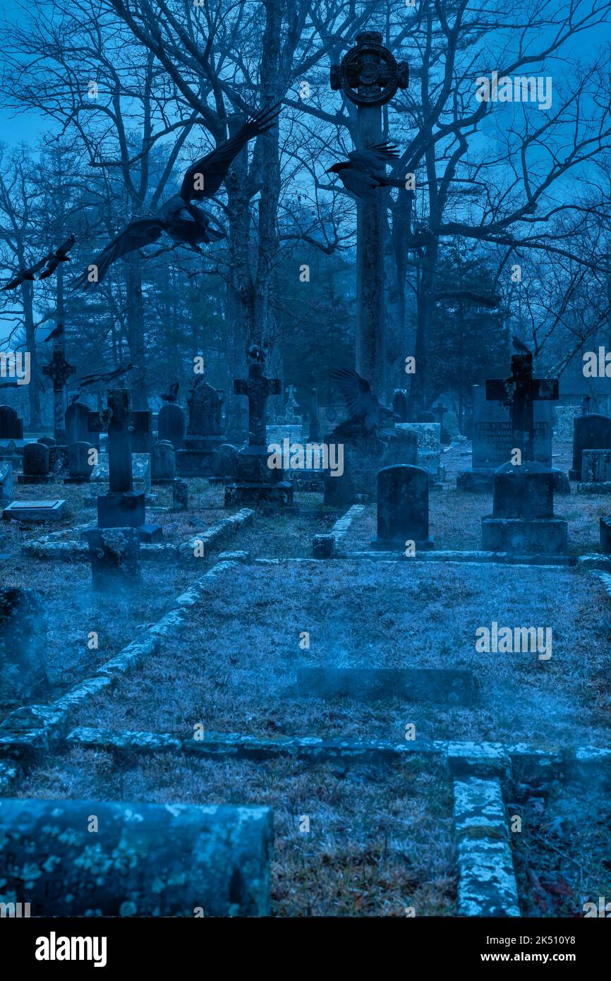 Goth Cemetery Bing Black Glasgow! You Were Lovely. I Promise It