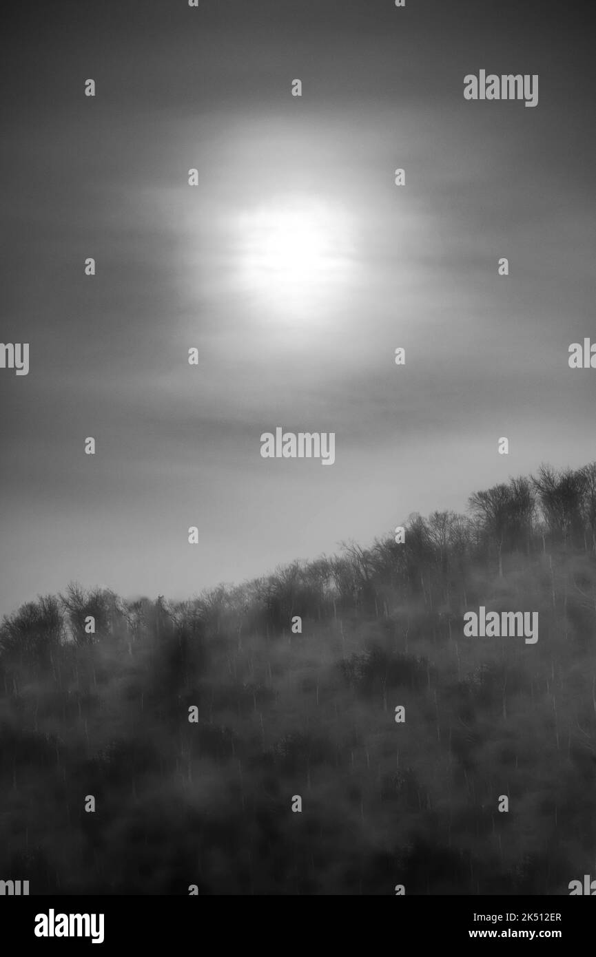 A grayscale shot of the moon rising over a forest on a hill with fog ...