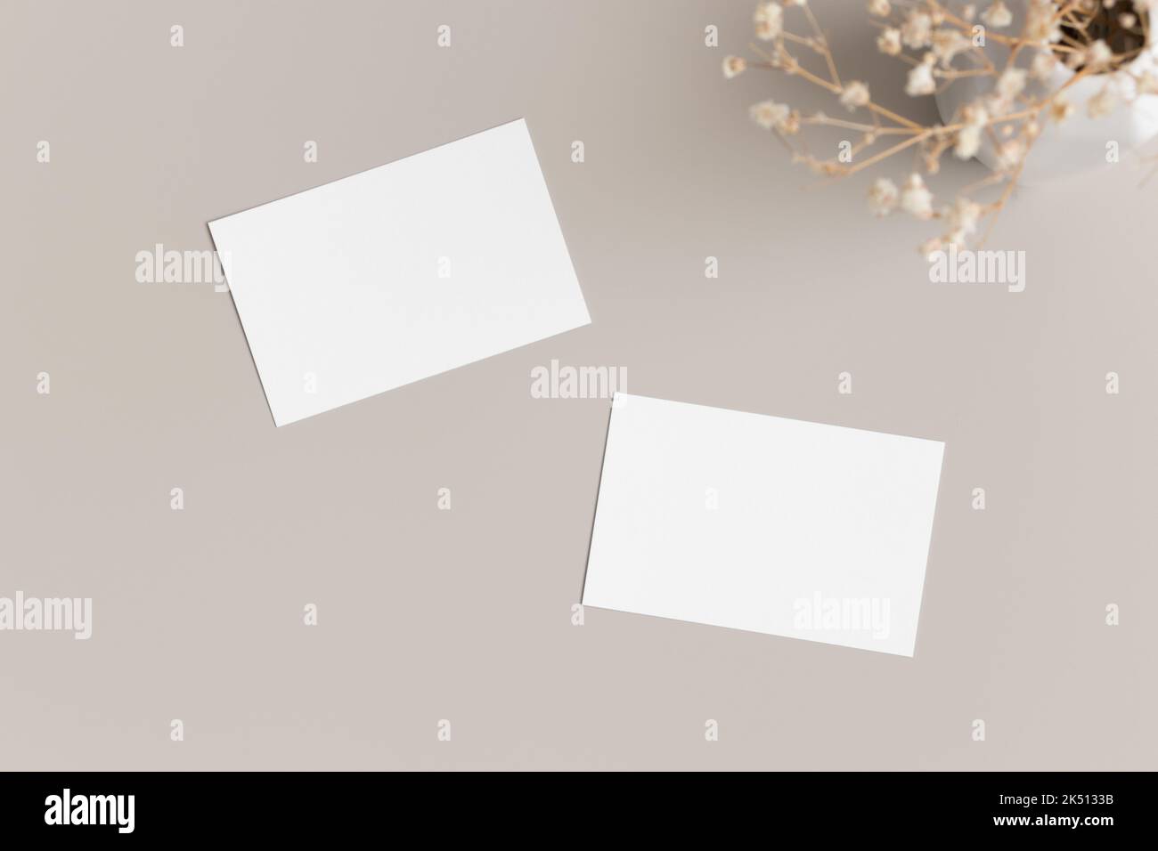 Two white business cards mockup 85x55mm with gypsophila Stock Photo - Alamy