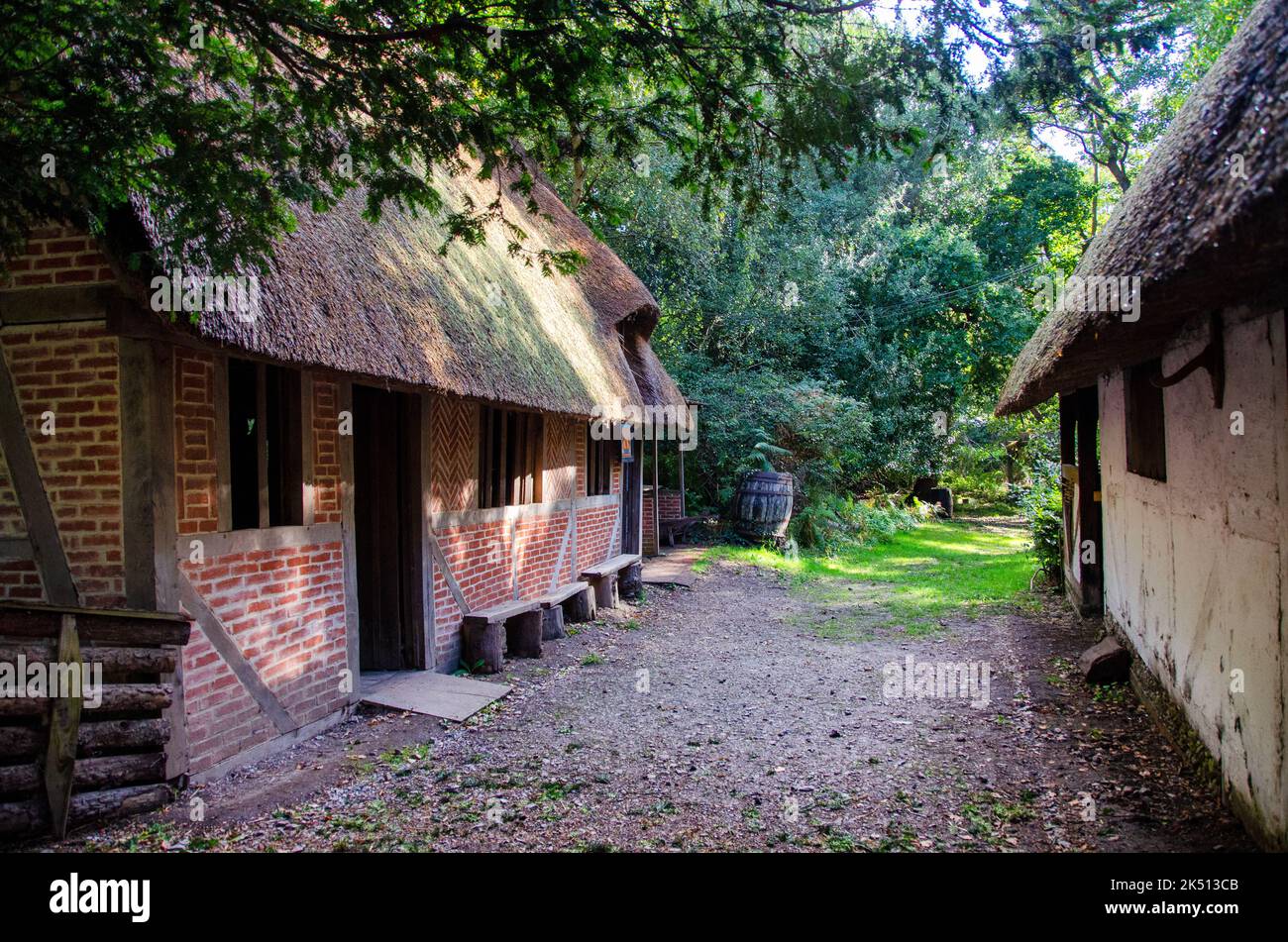 Thatched roof on a building in a charity recreation of a 1642 village ...