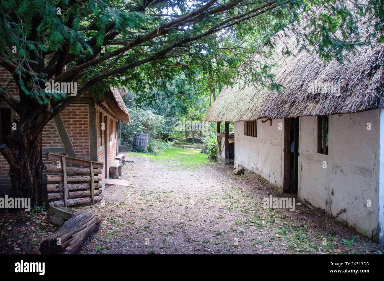 Thatched roof on a building in a charity recreation of a 1642 village ...