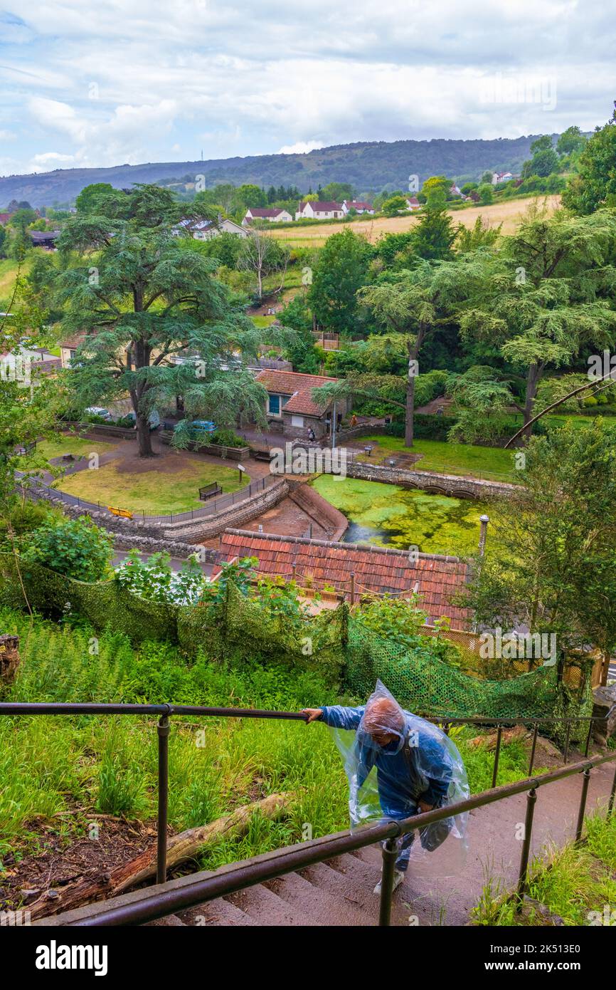 Cheddar Gorge is not only one of Britain's most spectacular natural ...