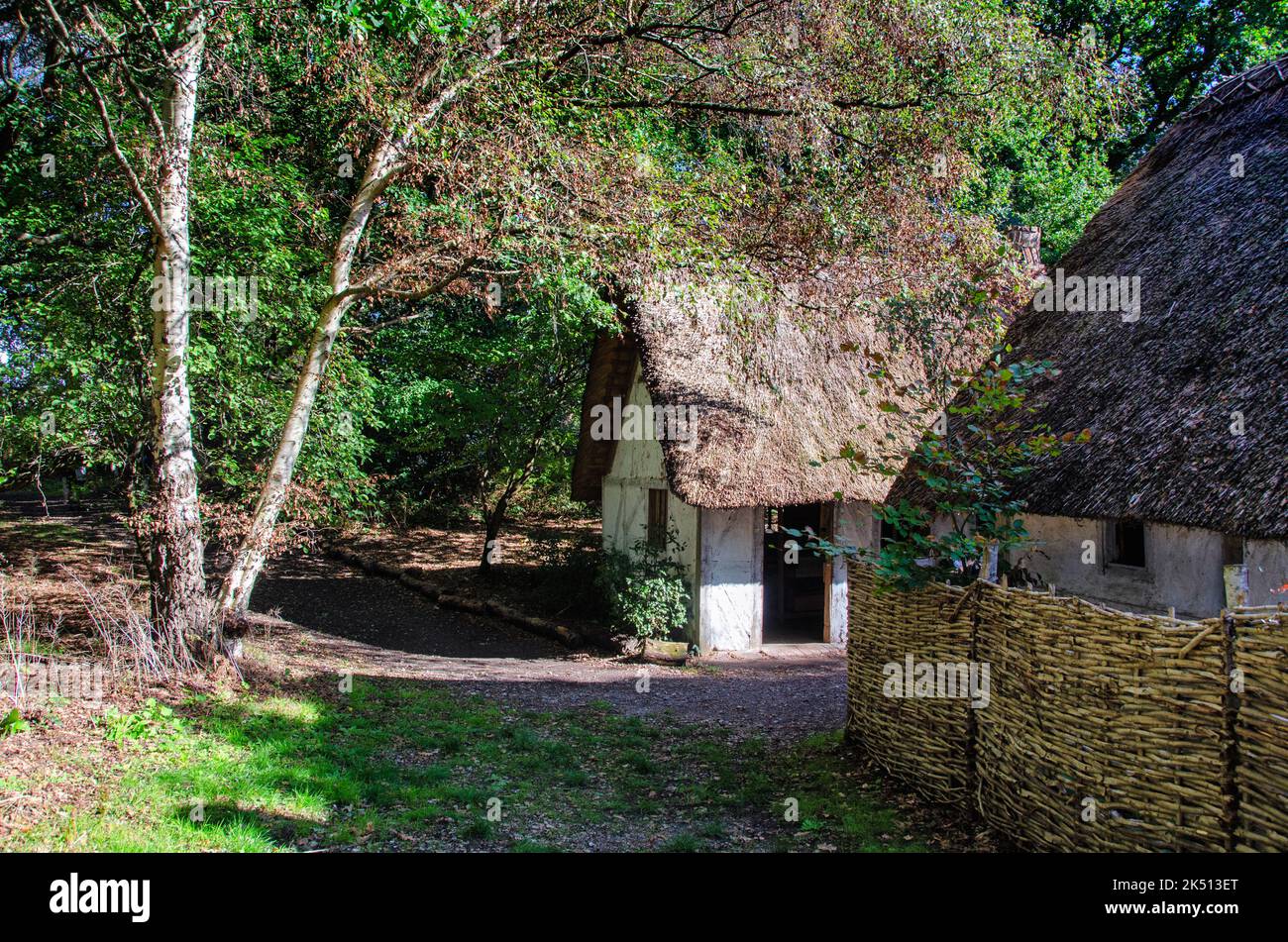 Thatched roof on a building in a charity recreation of a 1642 village ...