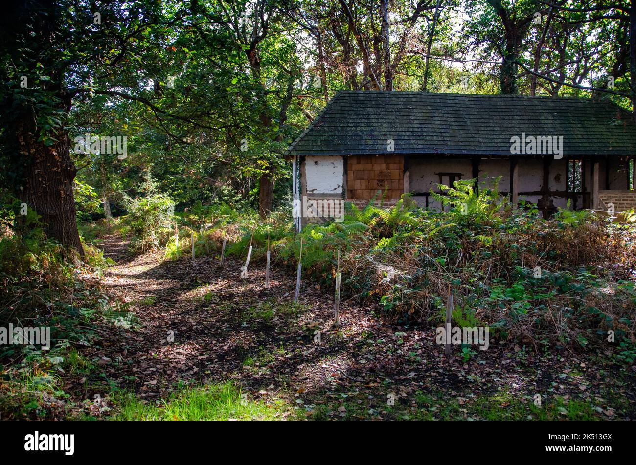 Traditional English village buildings from 1642 in the historical ...