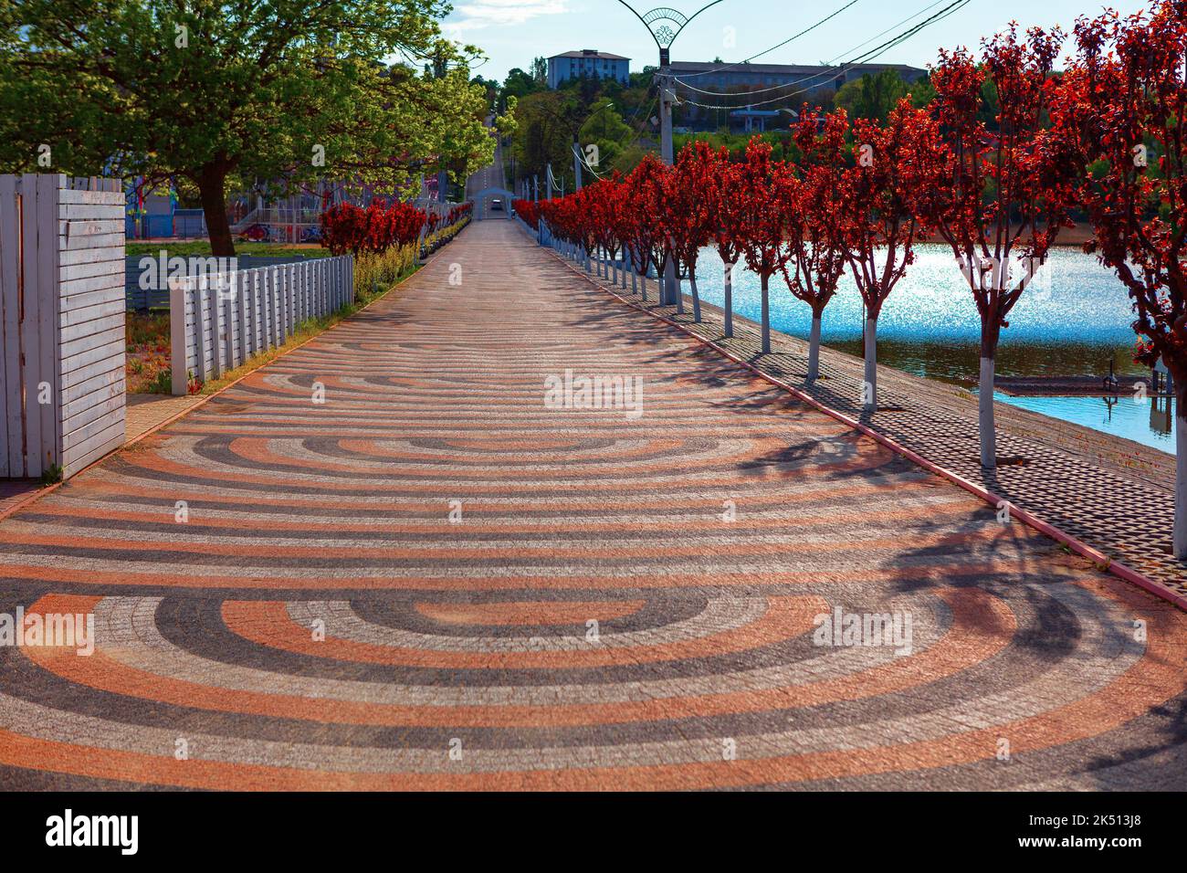 Sidewalk with decorative trees . Coastal alley with pavement Stock ...