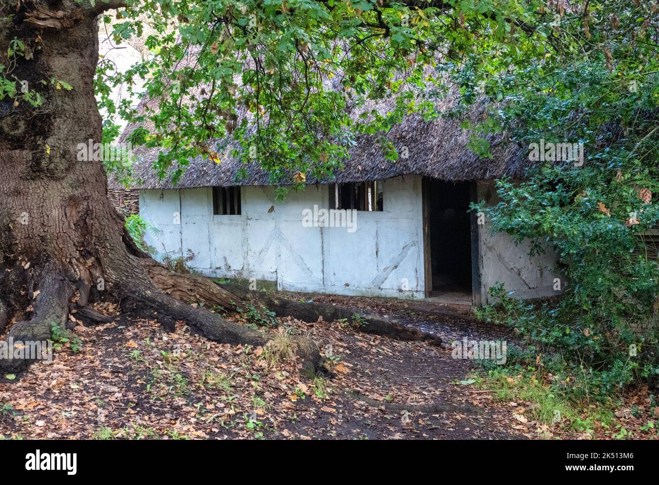 Traditional buildings in Little Woodham, a recreated medieval village ...