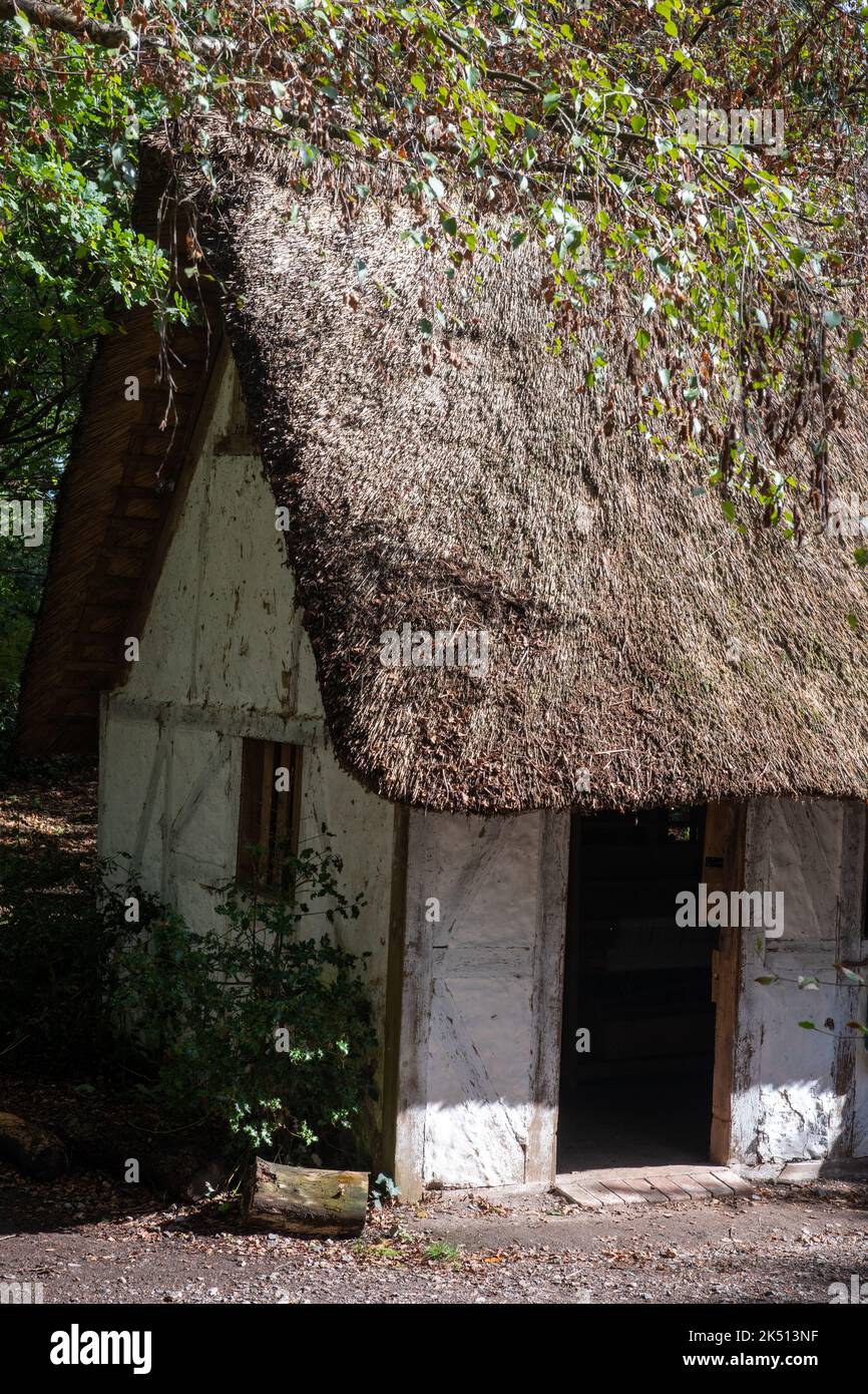 Thatched roof and overgrowing trees in Little woodham, the recreation ...