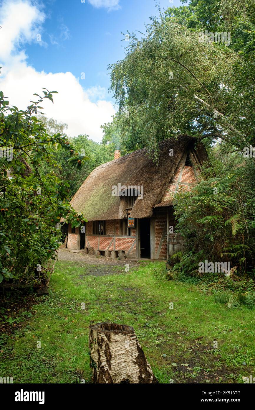 Thatched roof on a building in a charity recreation of a 1642 village ...