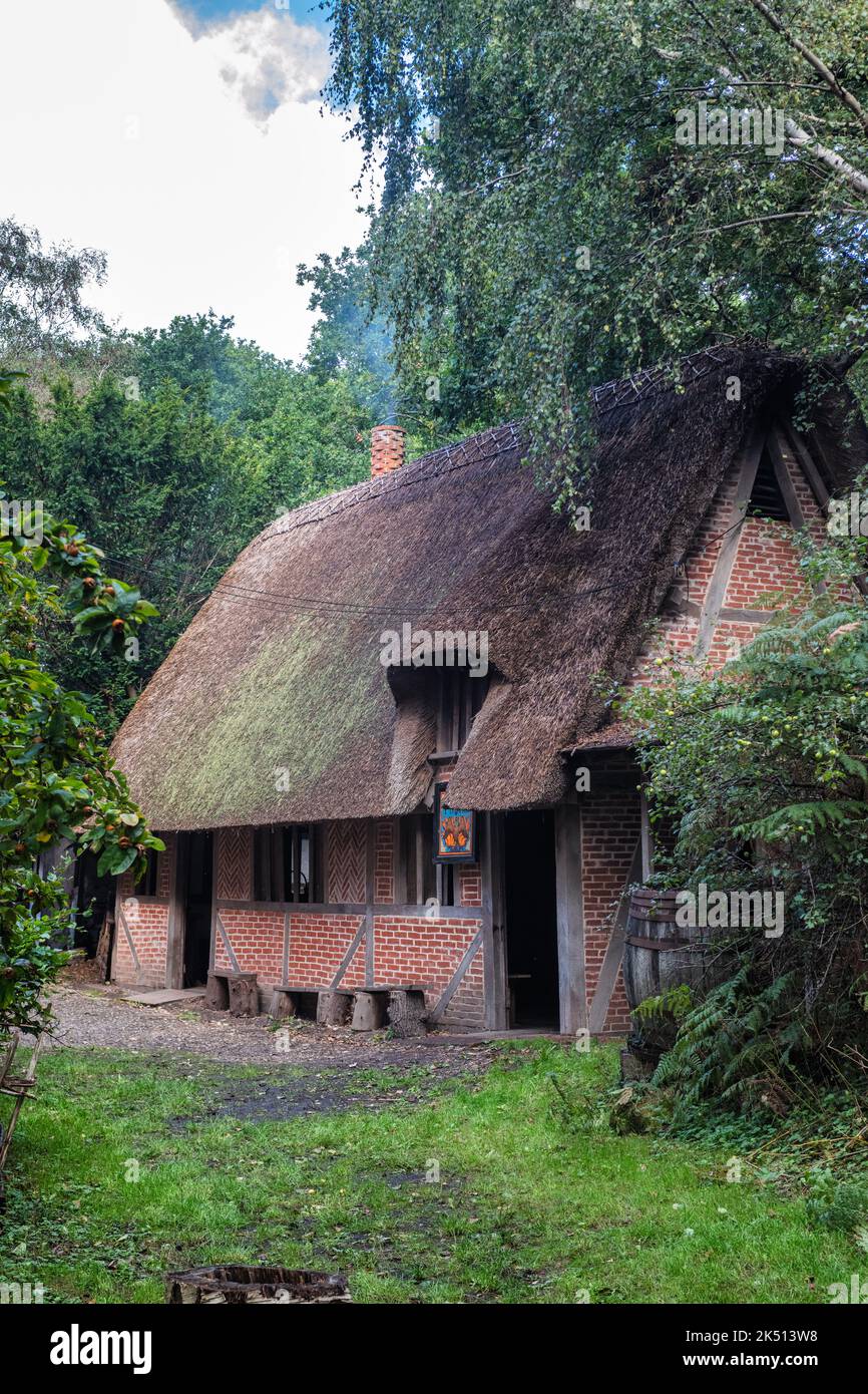 Thatched roof on a building in a charity recreation of a 1642 village ...