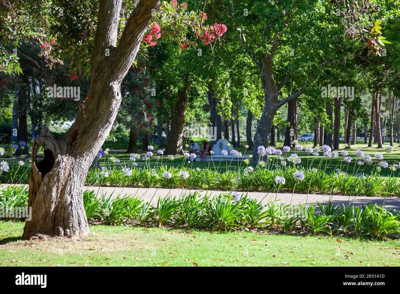 Garden Grounds of Boschendal Wine Estate in Western Cape, South Africa ...