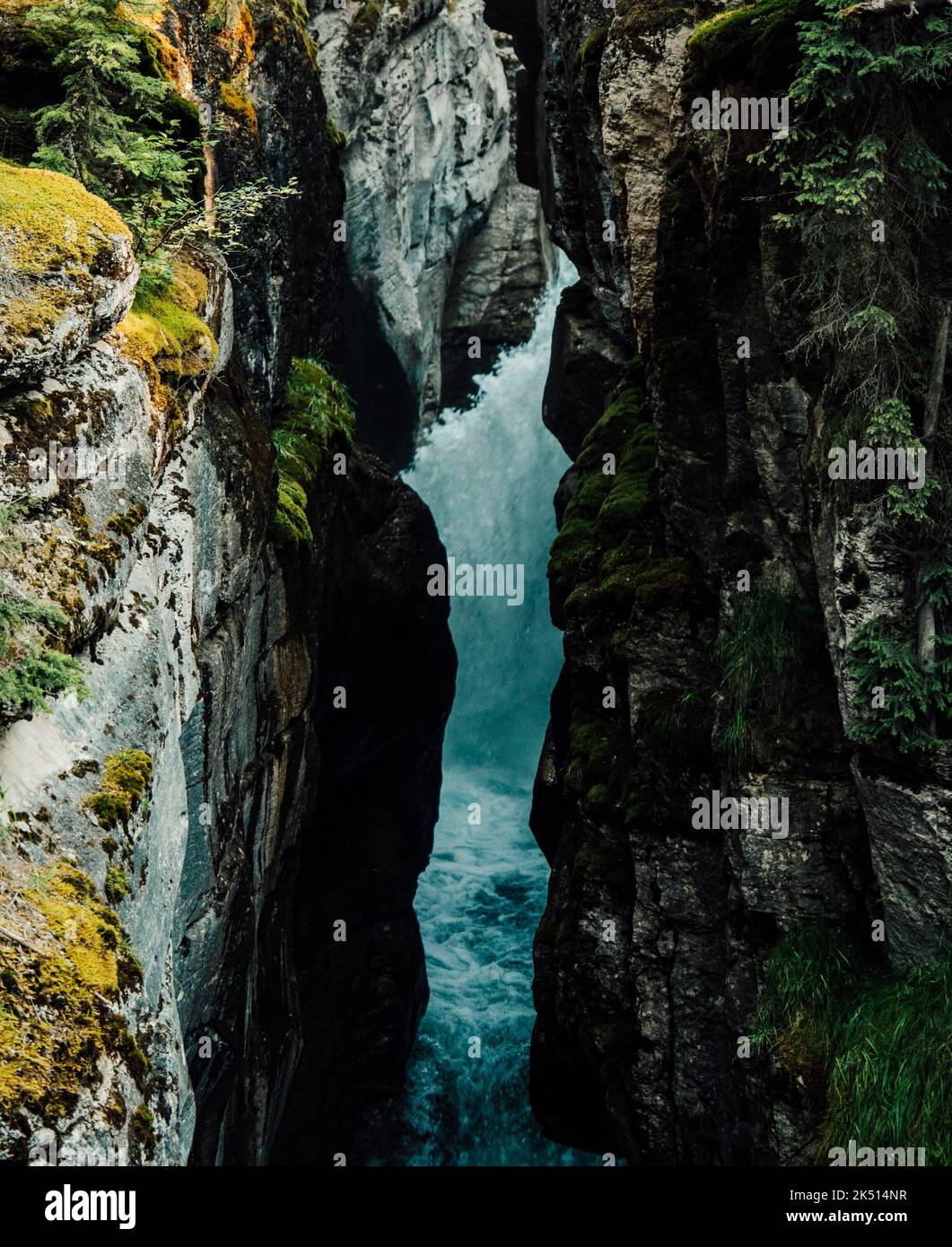 A vertical shot of a nature landscape in Jasper National Park, Alberta ...