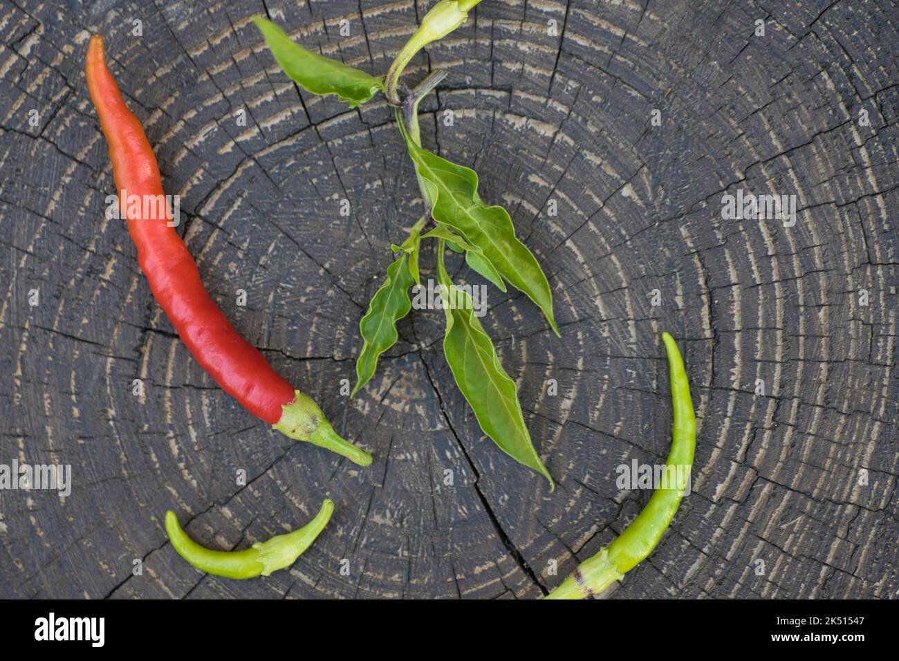 A top view of green and red chili peppers on a tree stump Stock Photo ...