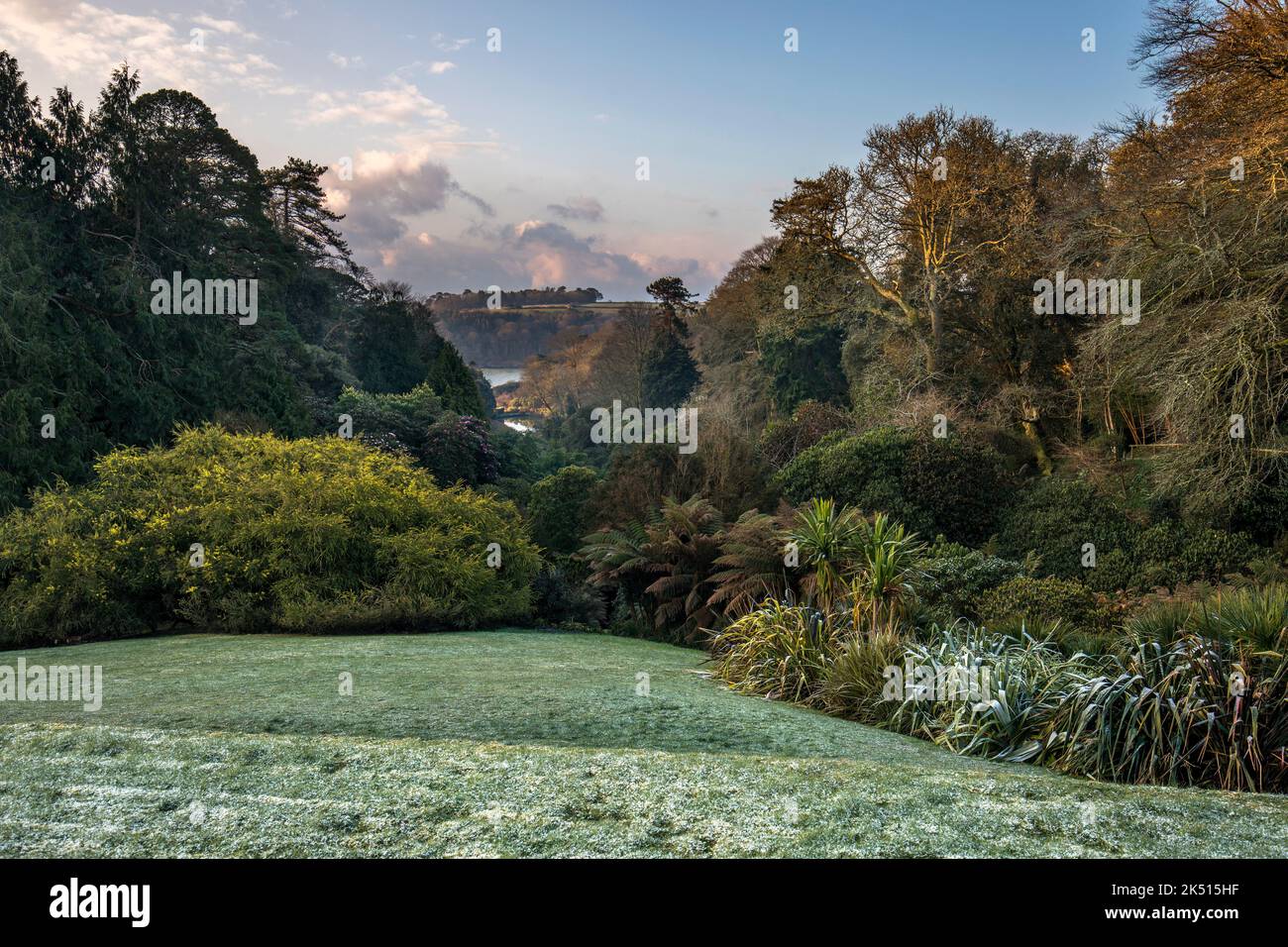 Trebah Garden; Cornwall; UK Stock Photo - Alamy