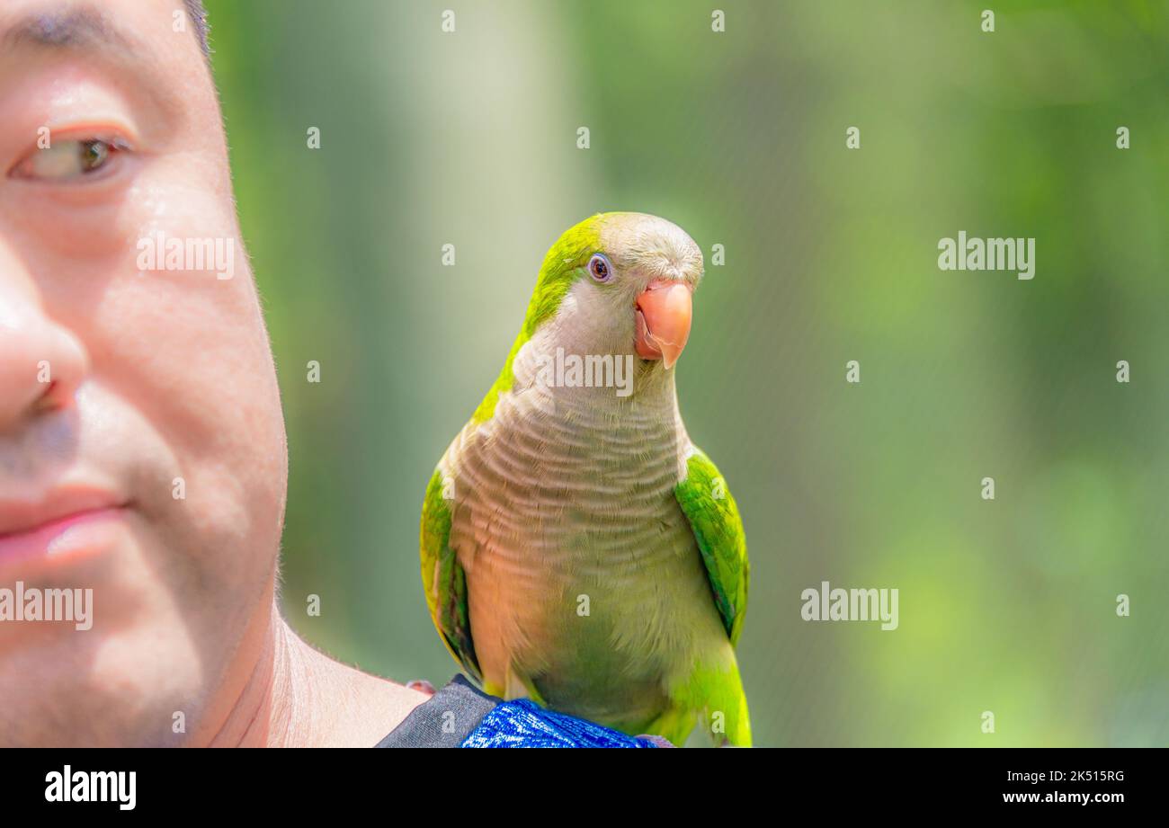 A beautiful parrot in a safari park Stock Photo - Alamy