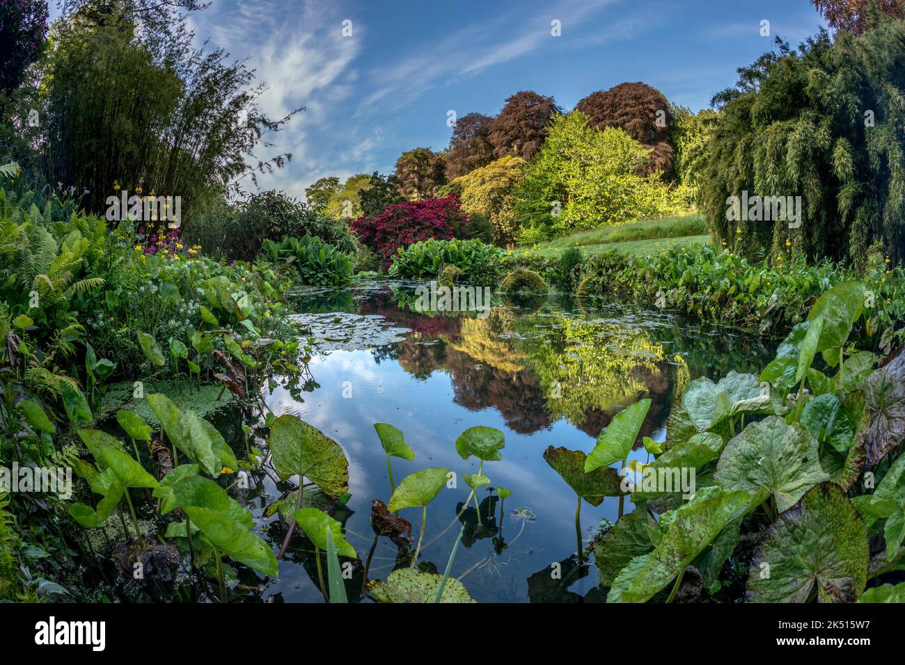 Trebah Garden; Spring; Cornwall; UK Stock Photo - Alamy