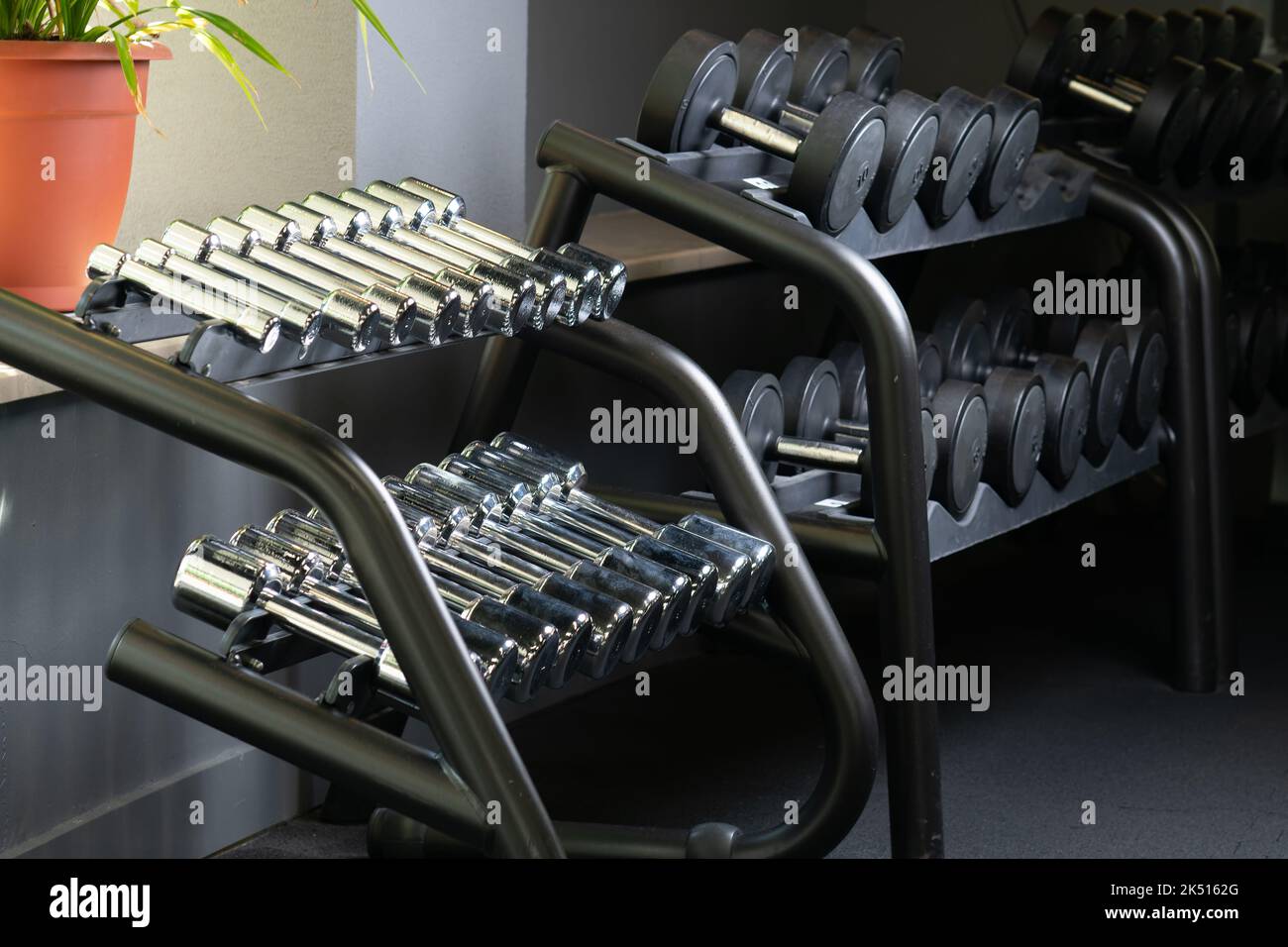 Fitness workout exercise gym sport weight training fit isolated, from ...