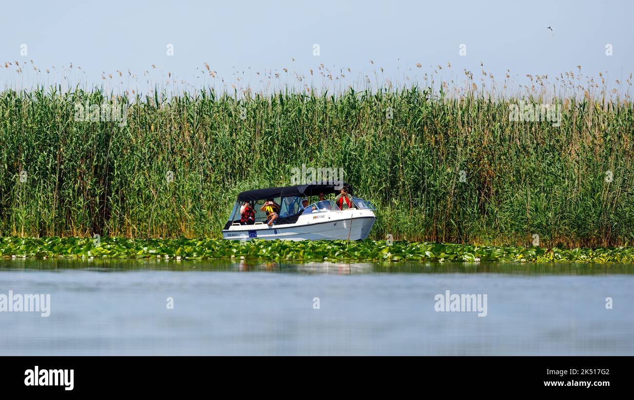 Danube river fishing hi-res stock photography and images - Alamy