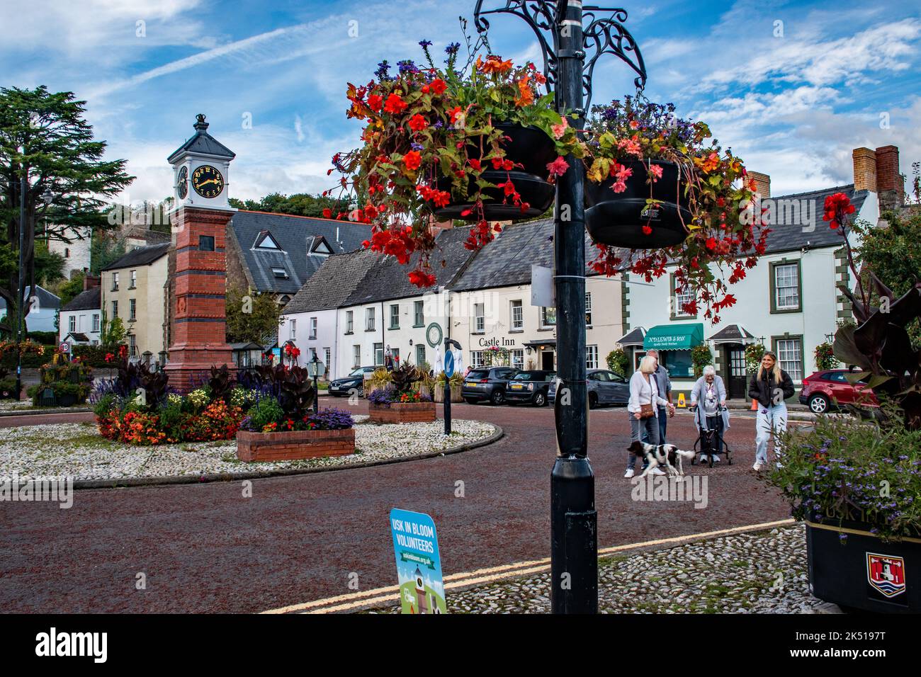 Square bloom hi-res stock photography and images - Alamy