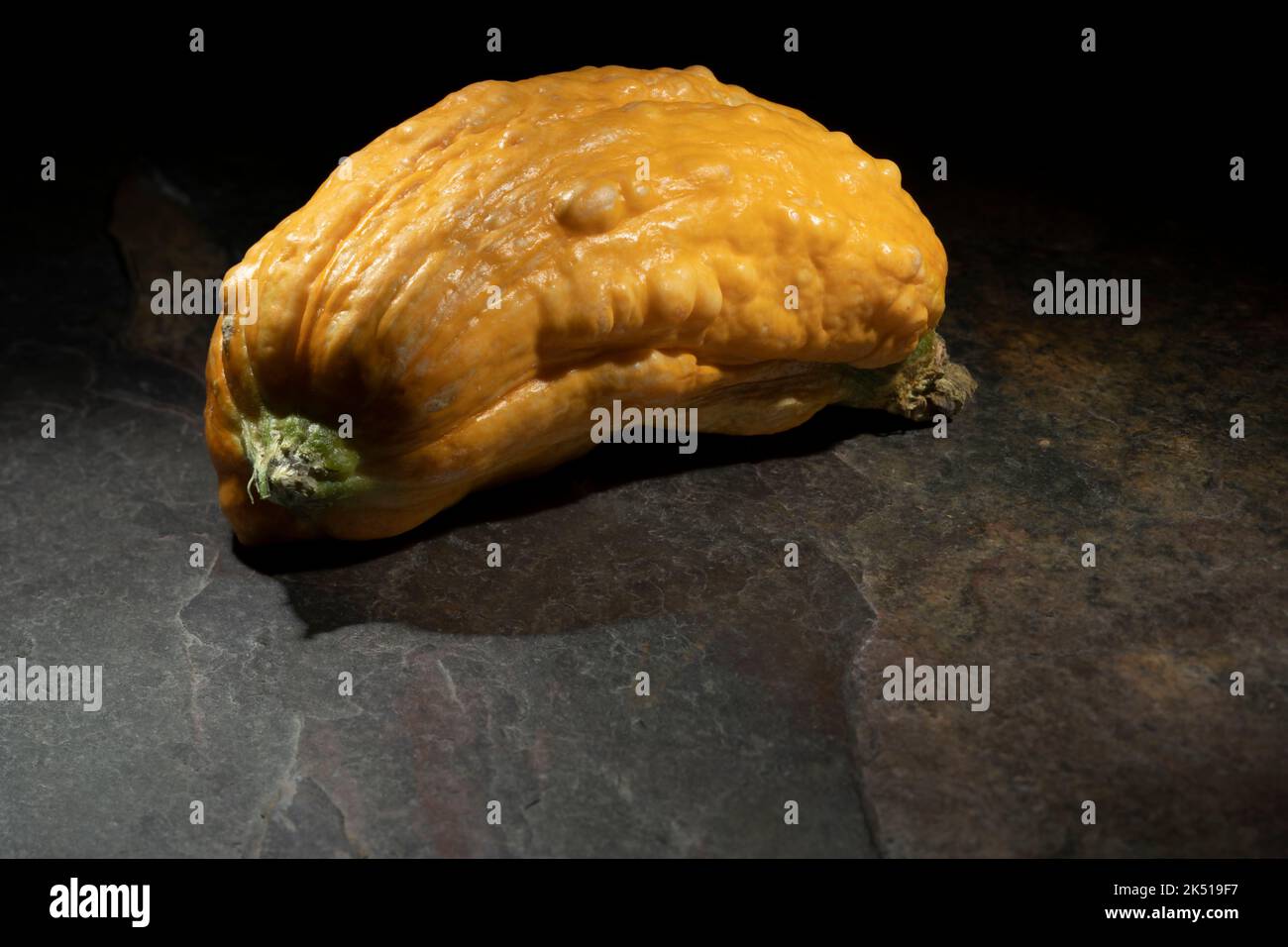 Short and fat yellow squash on a beige stone surface with copy space ...