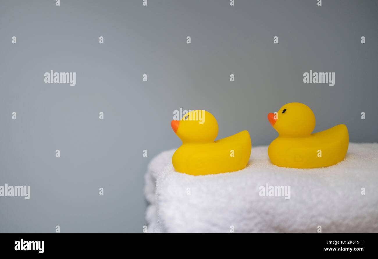 Two rubber ducks in bath hi-res stock photography and images - Alamy