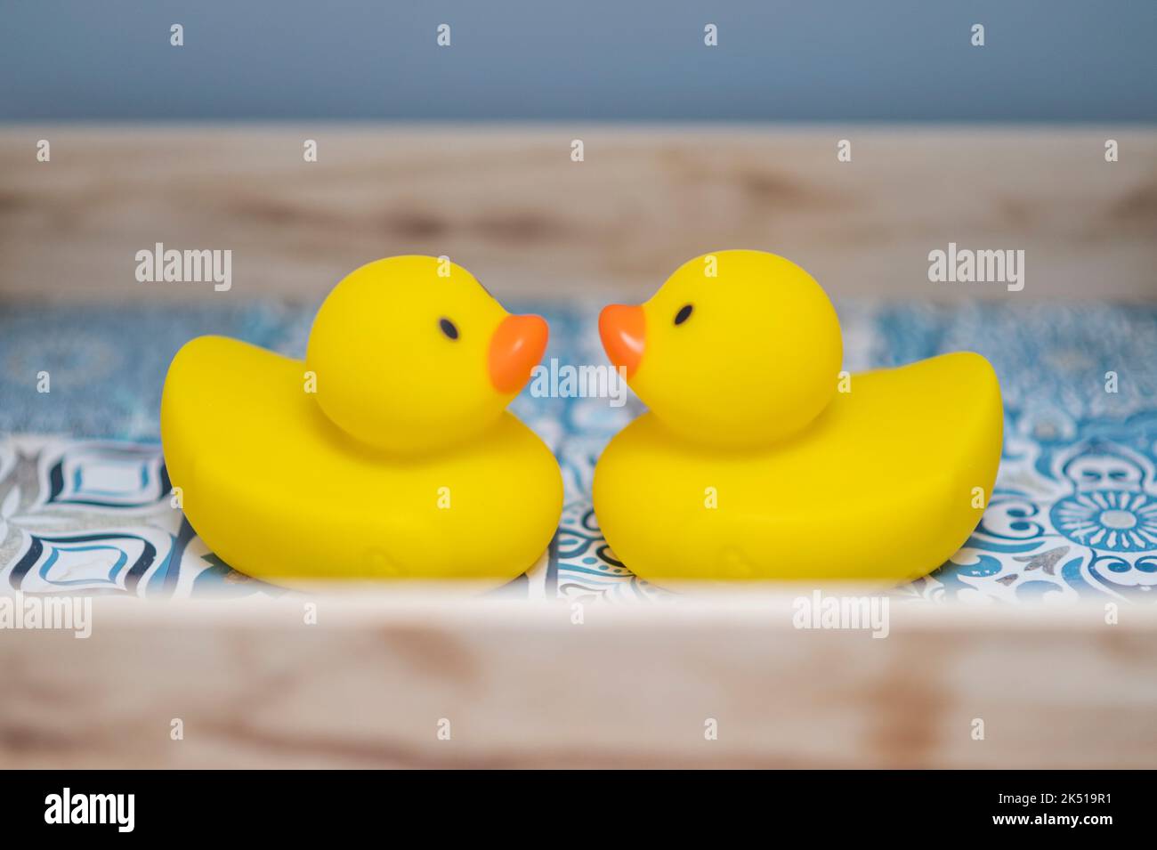 Two duck couples hi-res stock photography and images - Alamy