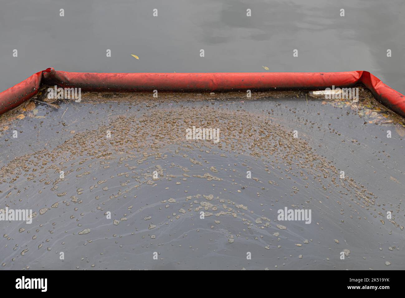 dam for water purification in the river Stock Photo - Alamy