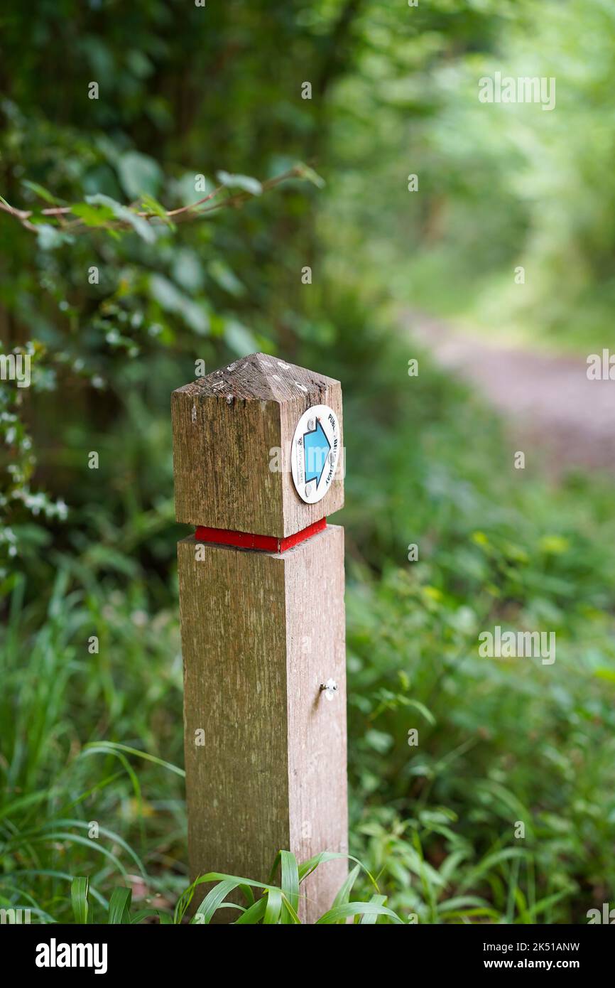 Public bridleway, blue arrow sign on marker post by UK woodland area ...