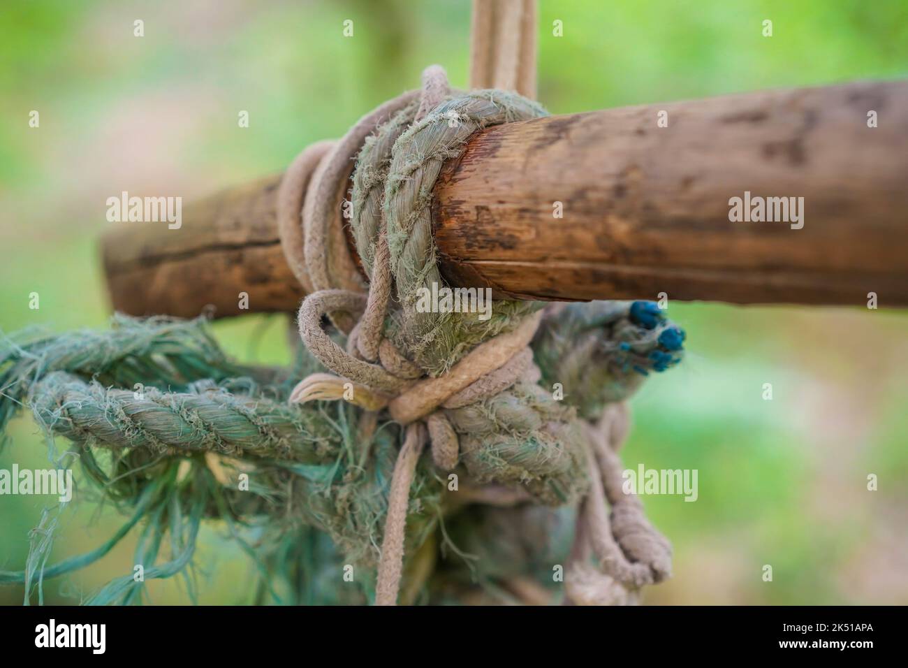 Branch forest tied together hi-res stock photography and images - Alamy