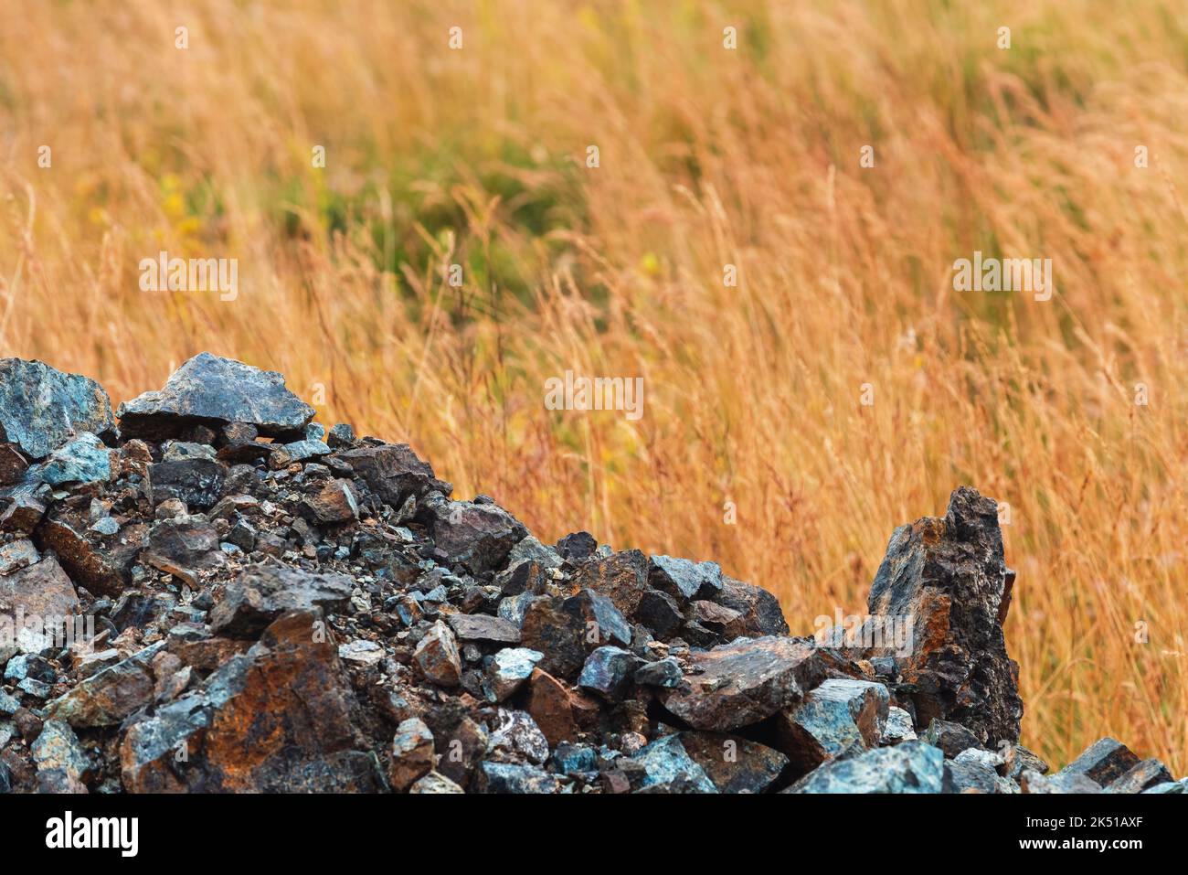 Rock rubble and dry grass at Zlatibor, Serbia Stock Photo - Alamy