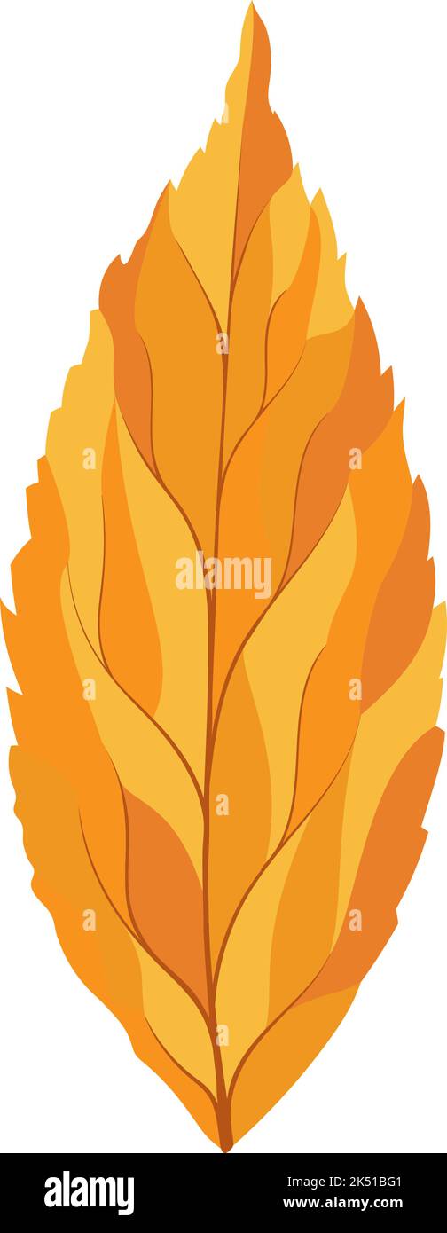 Autumn ash-tree leaf. Leaf fall. Vector illustration Stock Vector Image ...