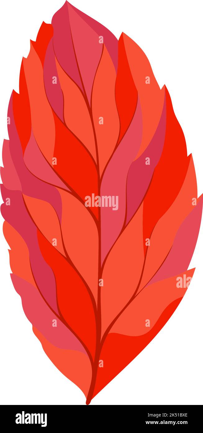 Autumn ash-tree leaf. Leaf fall. Vector illustration Stock Vector Image ...
