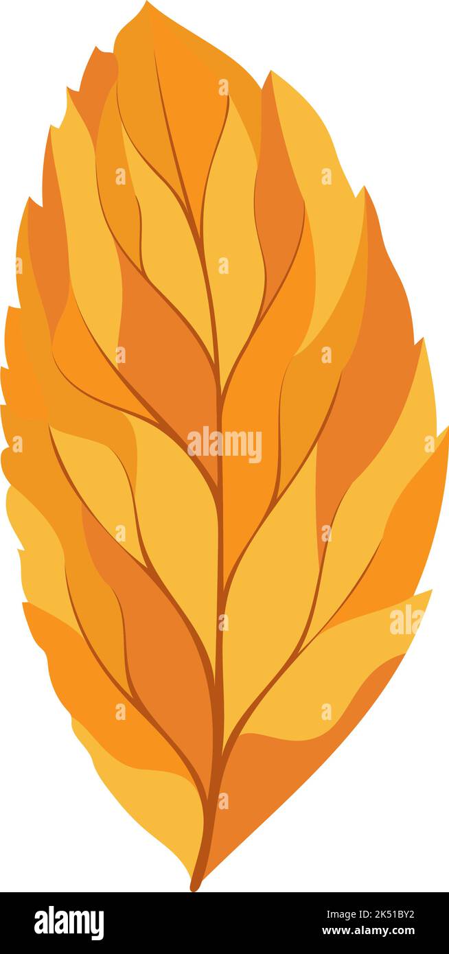 Autumn ash-tree leaf. Leaf fall. Vector illustration Stock Vector Image ...