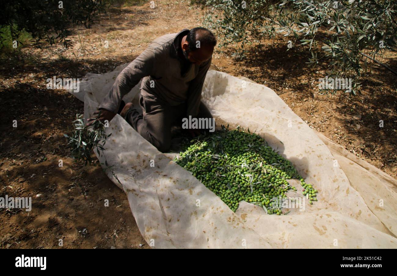 October 4, 2022, Gaza City, Gaza Strip, Palestine: Gaza, Palestine. 04 ...