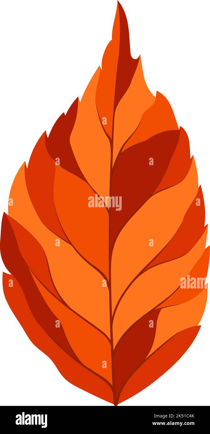 Autumn ash-tree leaf. Leaf fall. Vector illustration Stock Vector Image ...