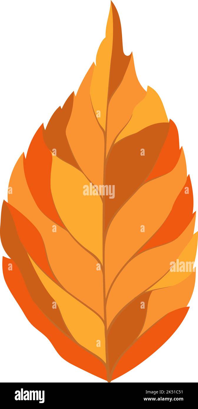 Autumn ash-tree leaf. Leaf fall. Vector illustration Stock Vector Image ...