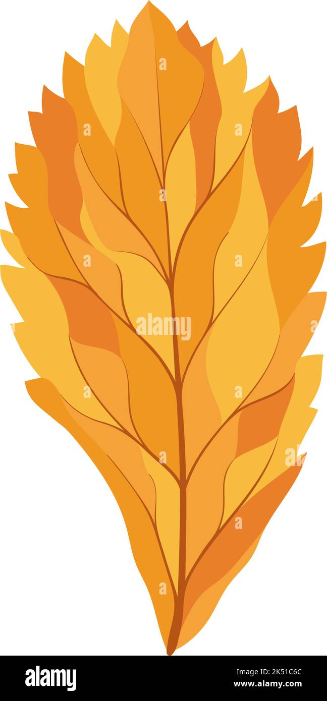Autumn Rowan leaf. Leaf fall. Vector illustration Stock Vector Image ...