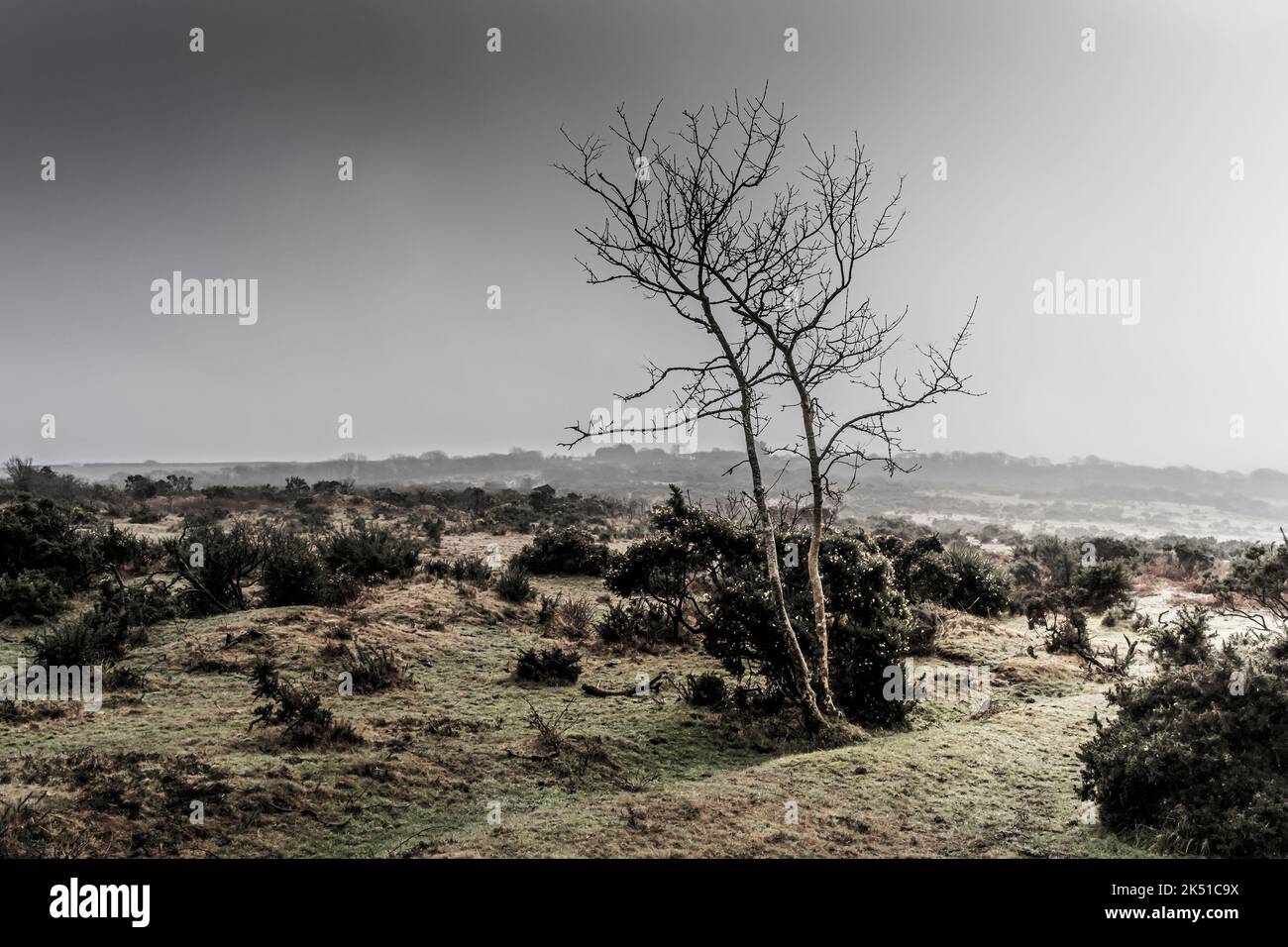 Bodmin moor in mist and rain hi-res stock photography and images - Alamy