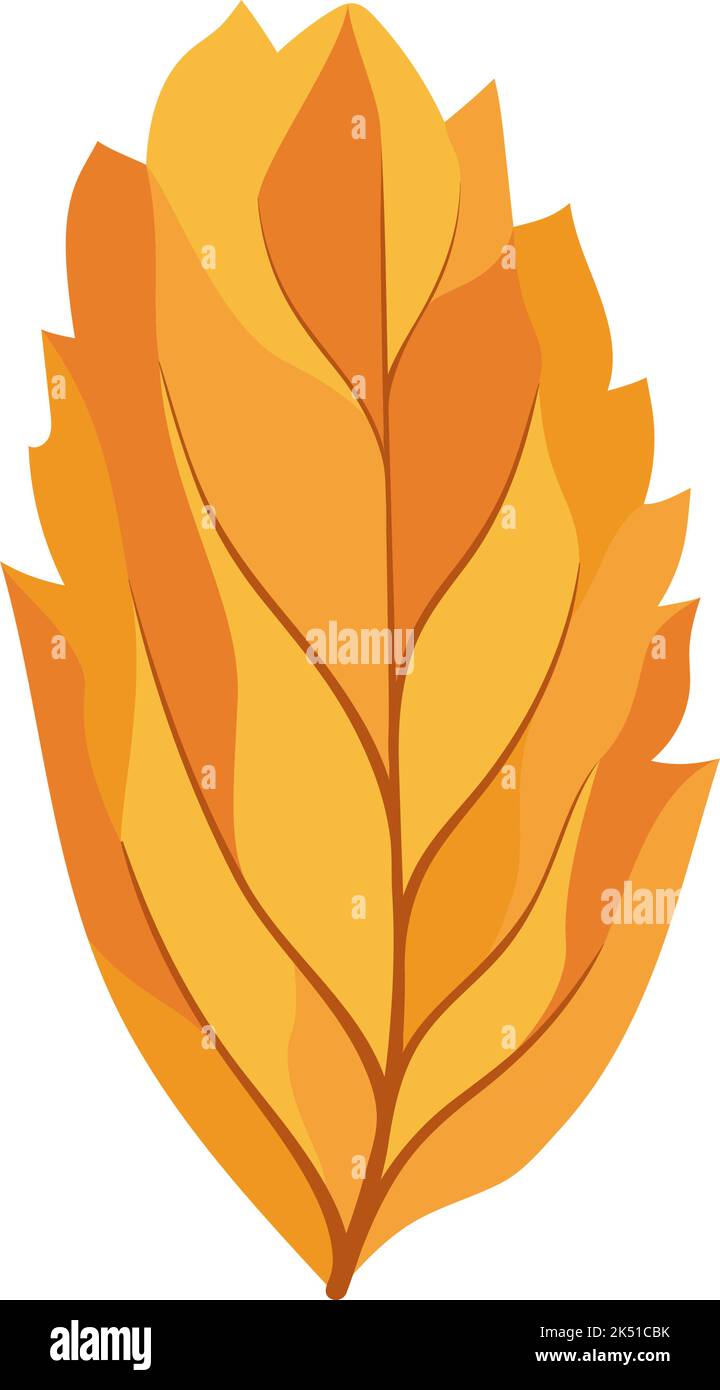 Autumn Rowan leaf. Leaf fall. Vector illustration Stock Vector Image ...