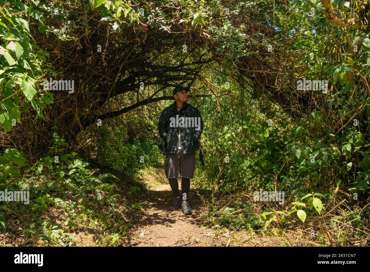 Full body of young ethnic male hiker in jacket and cap admiring nature ...